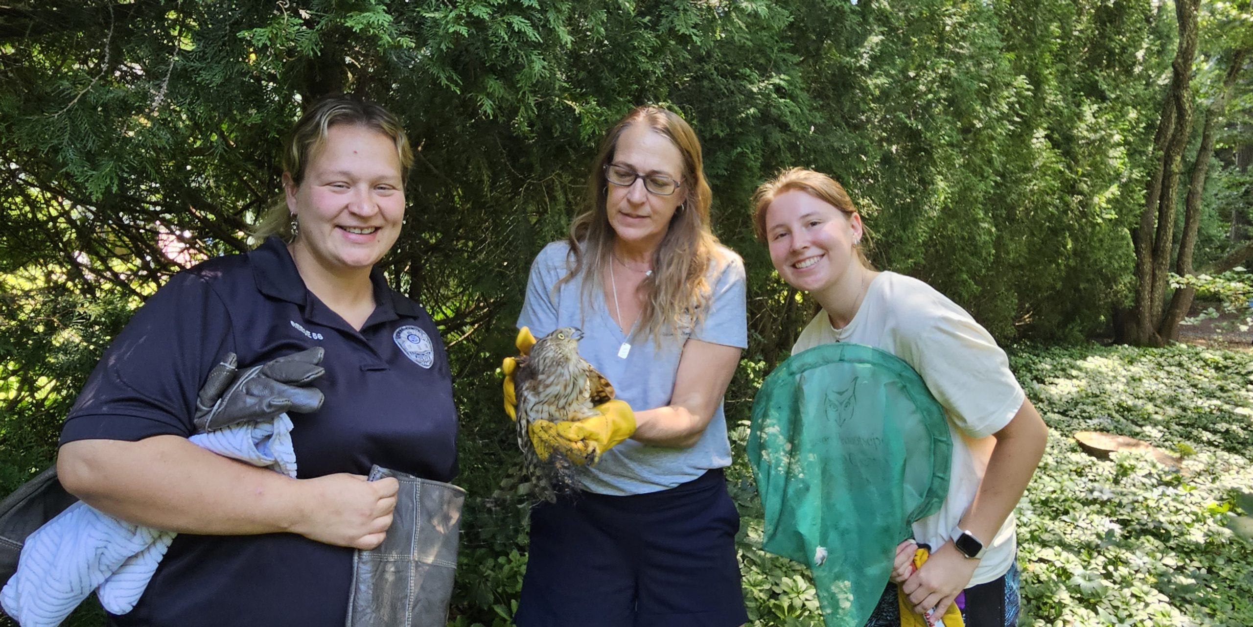 Cooper’s Hawk rescue serves as a good reminder to be mindful of what ...